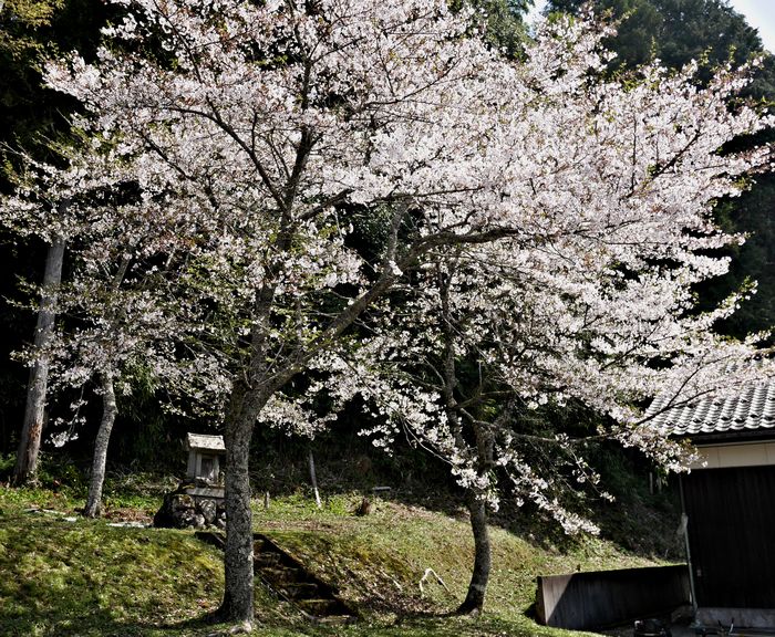 日吉神社